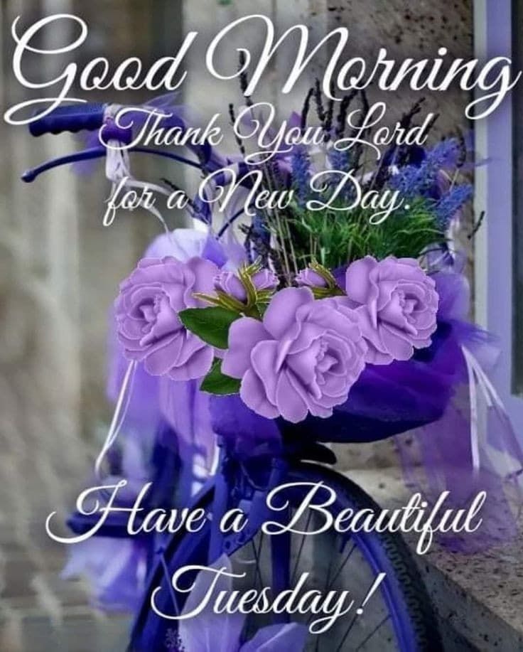 Good Morning. Thank You Lord For A New Day. Have A Beautiful Tuesday ...