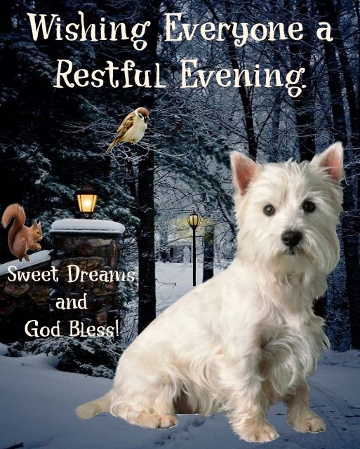 Wishing Everyone A Rest Evening. Pictures, Photos, and Images for ...