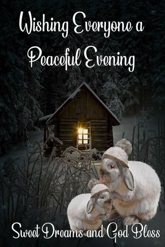 Wishing Everyone A Peaceful Evening Pictures, Photos, and Images for ...