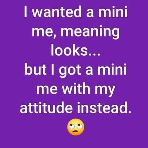 I Wanted A Mini Me Meaning Looks but I Got A Mini Me With My i-wanted-a-mini-me-meaning-looks-but-i-got-a-mini-me-with-my