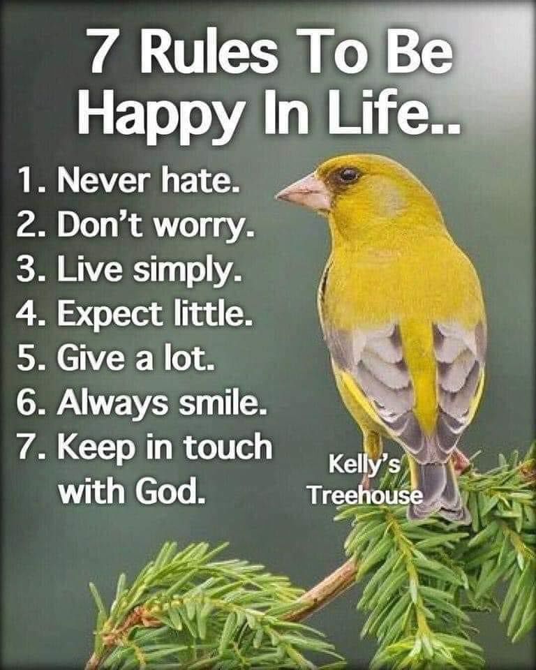 7 Rules To Be Happy In Life Pictures, Photos, and Images for Facebook, Tumblr, Pinterest, and ...