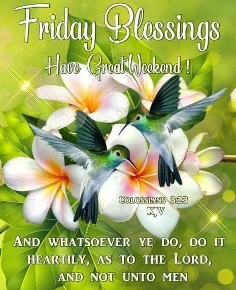 Twin Hummingbirds - Friday Blessings Pictures, Photos, and Images for ...