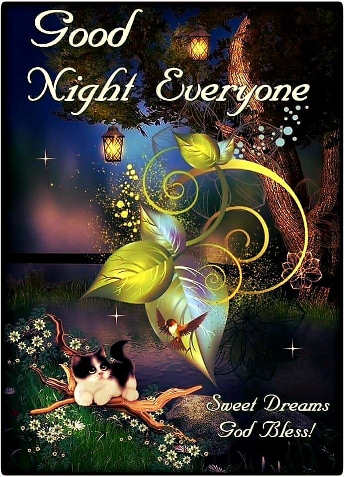 Good Night Everyone Pictures, Photos, and Images for Facebook, Tumblr ...