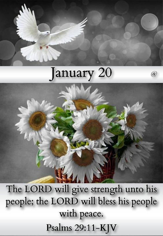 January 20: The Lord Will Give Strength Unto His People; The Lord Will ...