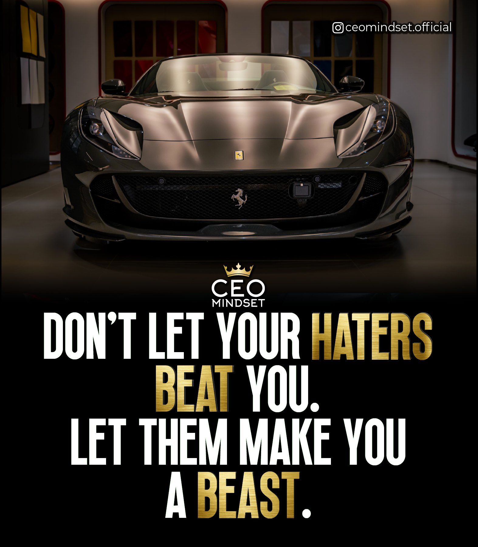 Don't Let Your Haters Beat You. Let Them Make You A Beast. Pictures ...
