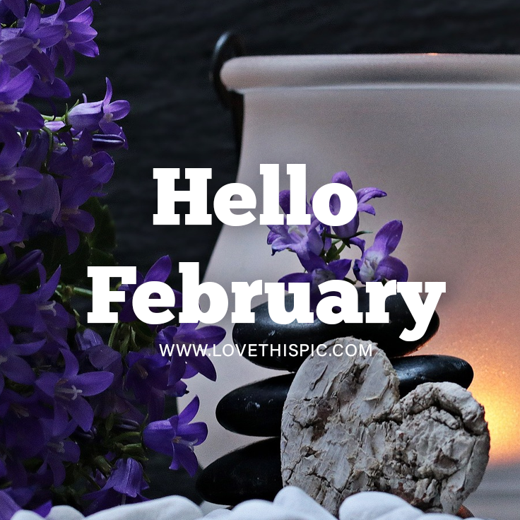 Purple Flower - Hello February Quote Pictures, Photos, and Images for ...