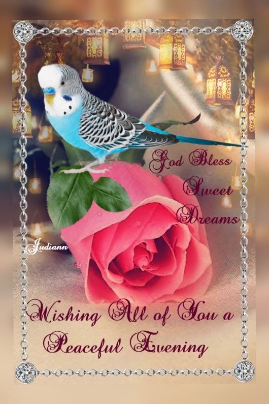 Wishing All Of You A Peaceful Evening Pictures, Photos, and Images for ...