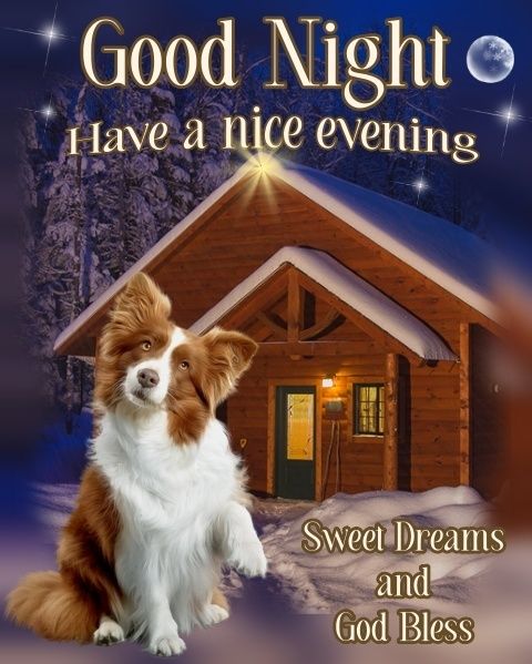 Good Night, Have A Nice Evening Pictures, Photos, and Images for ...