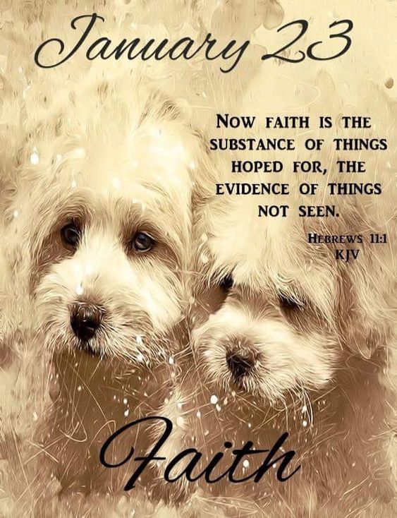 January 23 Pictures, Photos, and Images for Facebook, Tumblr, Pinterest ...