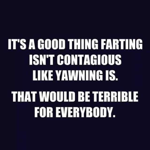 It's A Good Thing Farting Isn't Contagious Like Yawning Is. That Would ...
