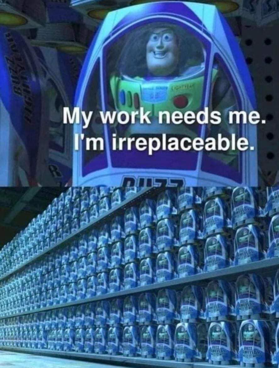 My Work Needs Me. I'm Irreplaceable. Pictures, Photos, and Images for ...