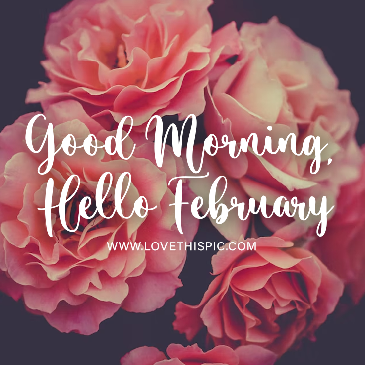 Good Morning, Hello February Pictures, Photos, and Images for Facebook ...