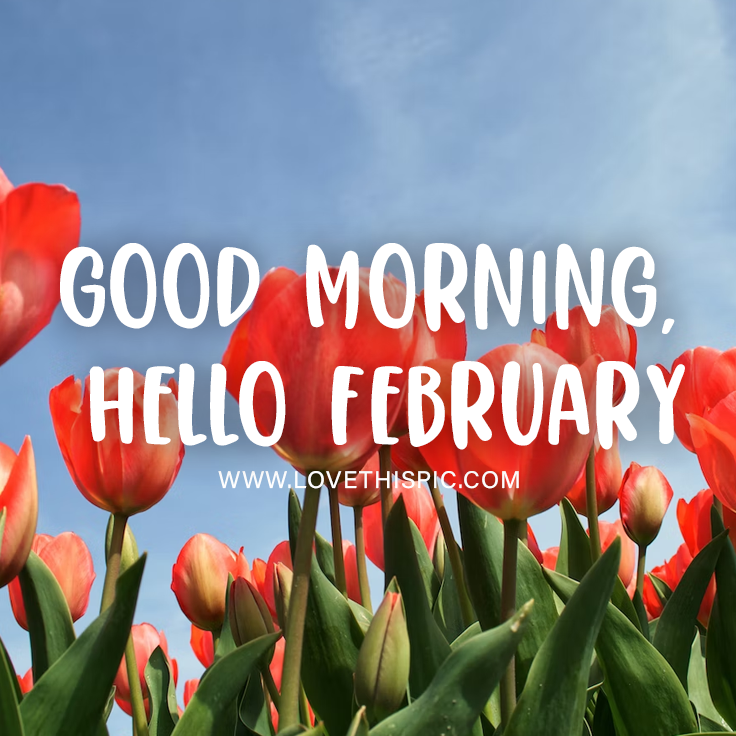 Red Tulips - Good Morning, Hello February Pictures, Photos, and Images ...