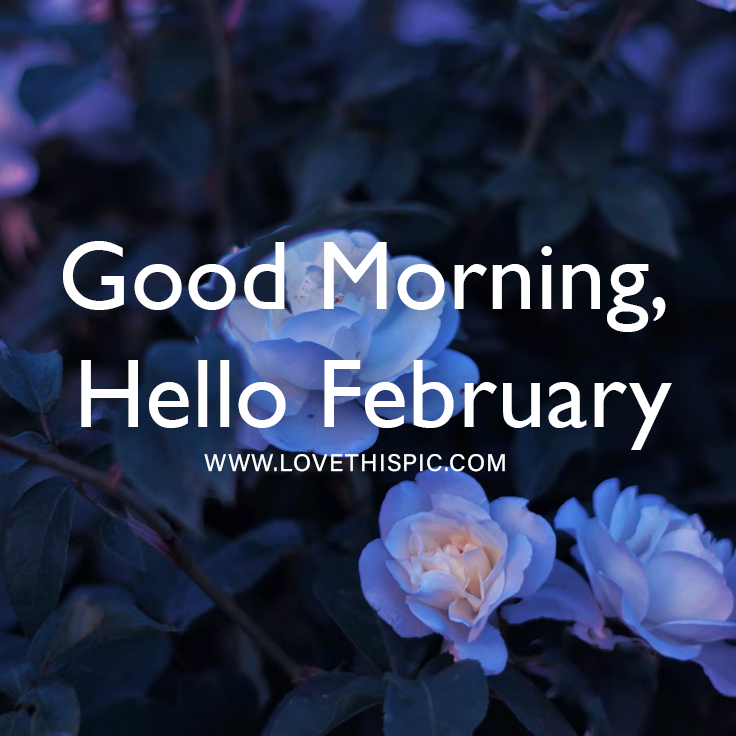 Good Morning, Hello February Pictures, Photos, and Images for Facebook ...