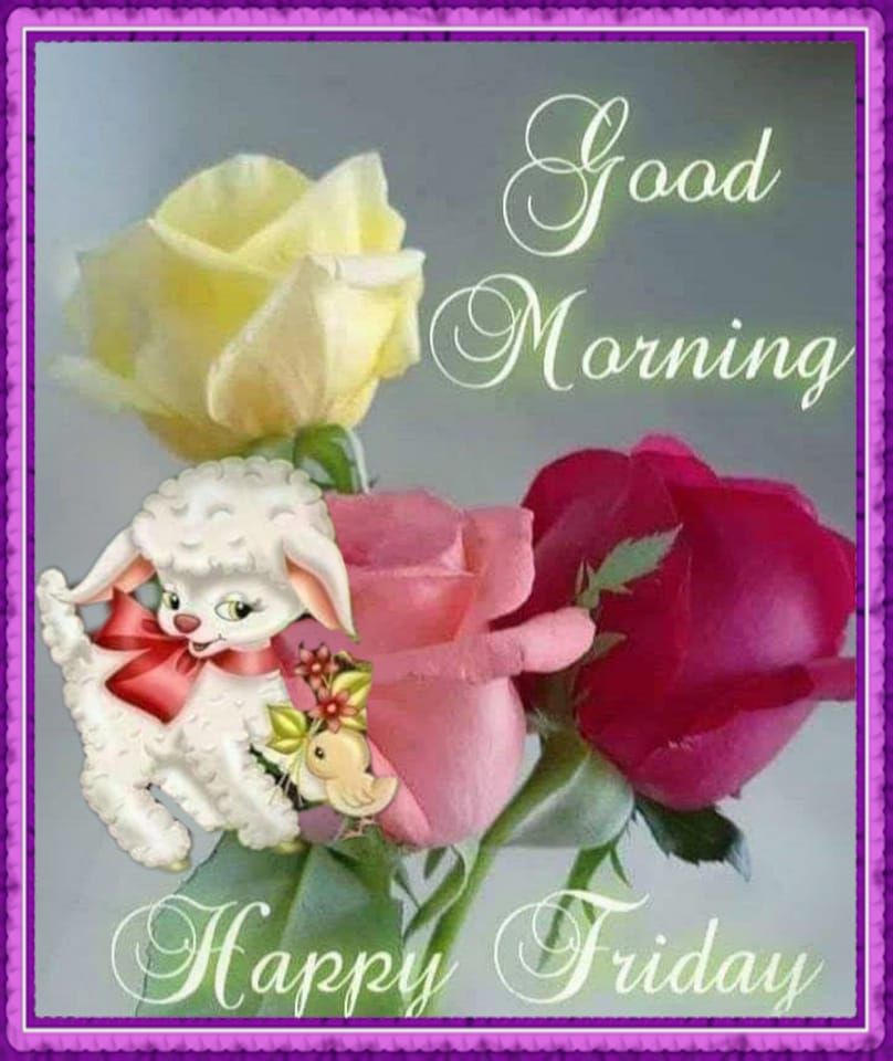 Roses And Sheep - Good Morning, Happy Friday Message Pictures, Photos ...