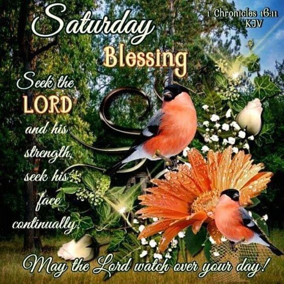 Saturday Blessing Via 1 Chronicles 16:11 Pictures, Photos, and Images ...