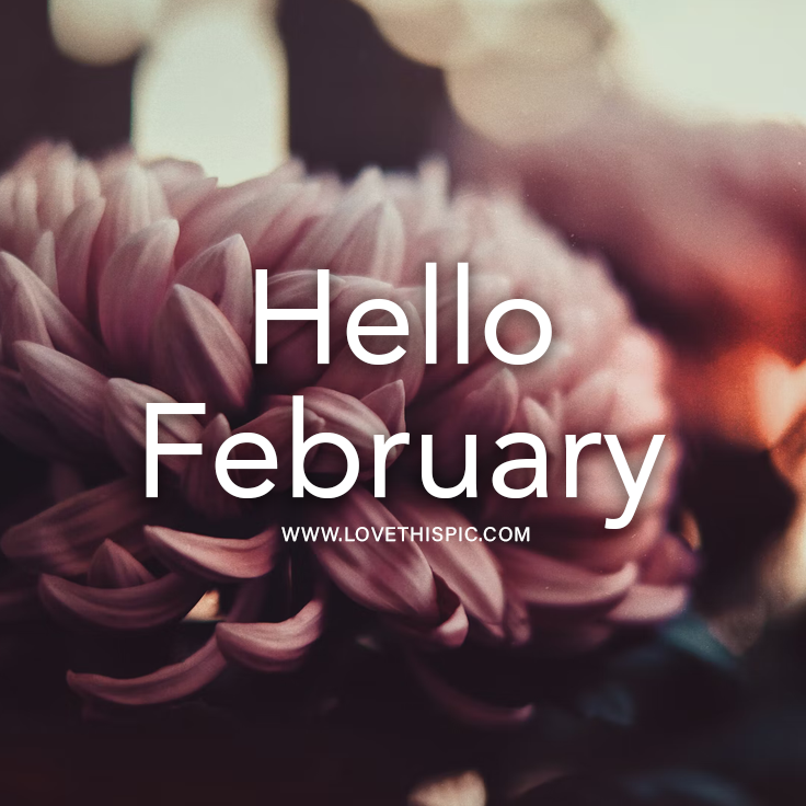Hello February Flower Pictures, Photos, and Images for Facebook, Tumblr ...