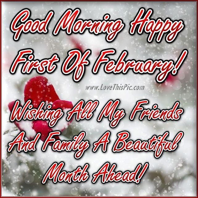 Good Morning. Happy First Of February! Pictures, Photos, and Images for ...