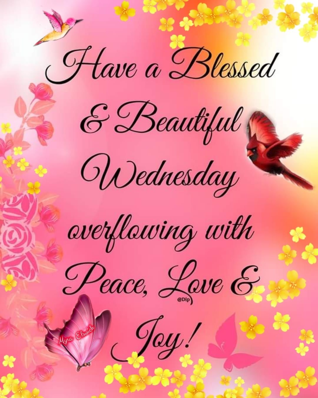 Have A Blessed And Beautiful Wednesday Pictures, Photos, and Images for ...