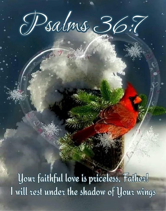 Psalms 36:7: Your Faithful Love Is Priceless, Father! I Will Rest Under ...