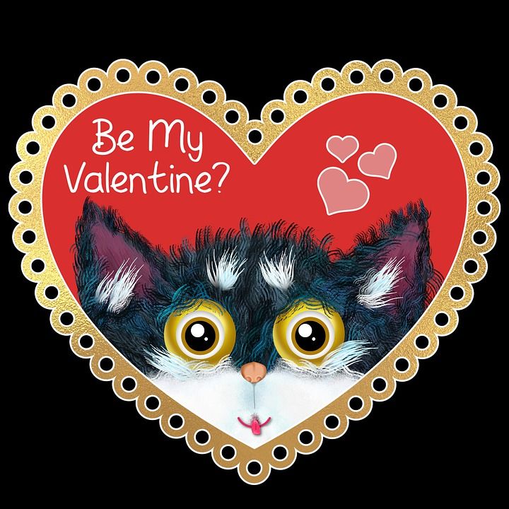 Be My Valentine Pictures Photos And Images For Facebook Tumblr be-my-valentine-pictures-photos-and-images-for-facebook-tumblr