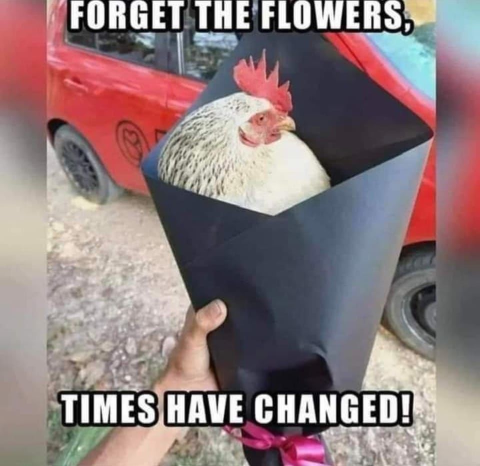 Forget The Flowers, Times Have Changed! Pictures, Photos, and Images ...