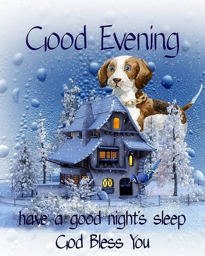Dog Over House - Good Evening Pictures, Photos, and Images for Facebook ...