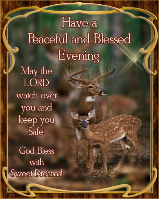 Have A Peaceful And Blessed Evening Pictures, Photos, and Images for ...