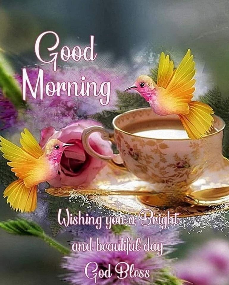 Good Morning. Wishing You A Bright And Beautiful Day Pictures, Photos ...