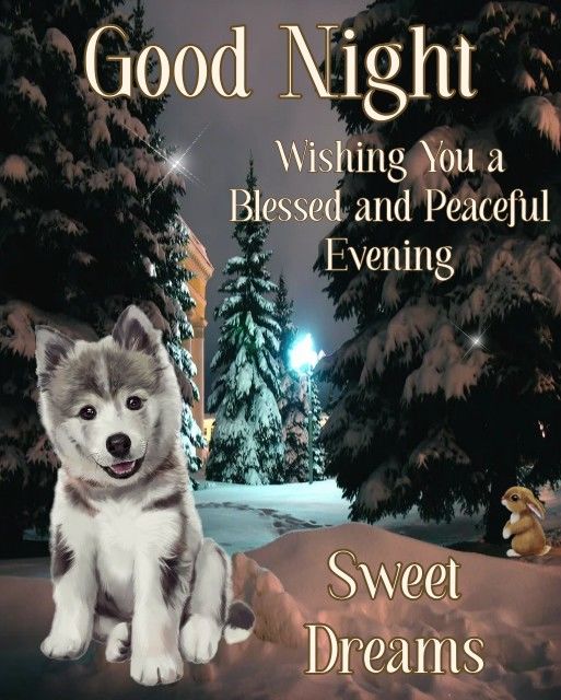 Cute Husky Good Night Blessing Pictures, Photos, and Images for ...