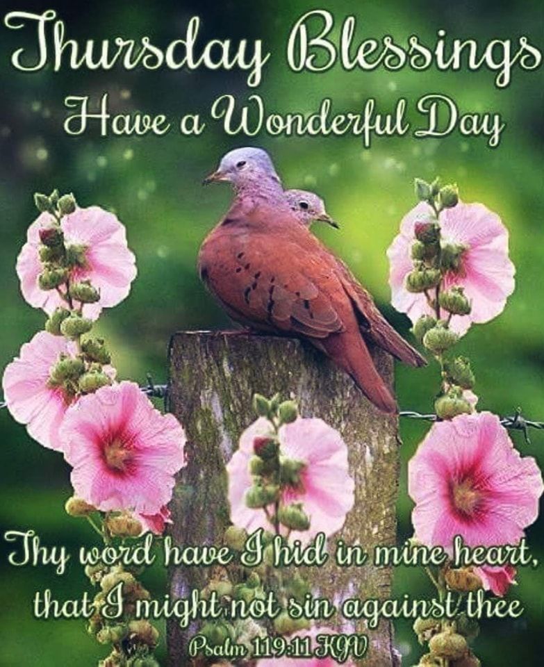 Birds And Flowers - Thursday Blessings. Have A Wonderful Day Pictures ...