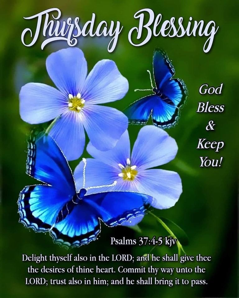 God Bless & Keep You! Thursday Blessing Pictures, Photos, and Images ...