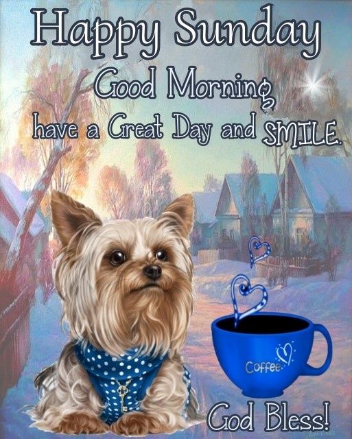 Good Morning, Have A Great Day And Smile. Happy Sunday Pictures, Photos ...