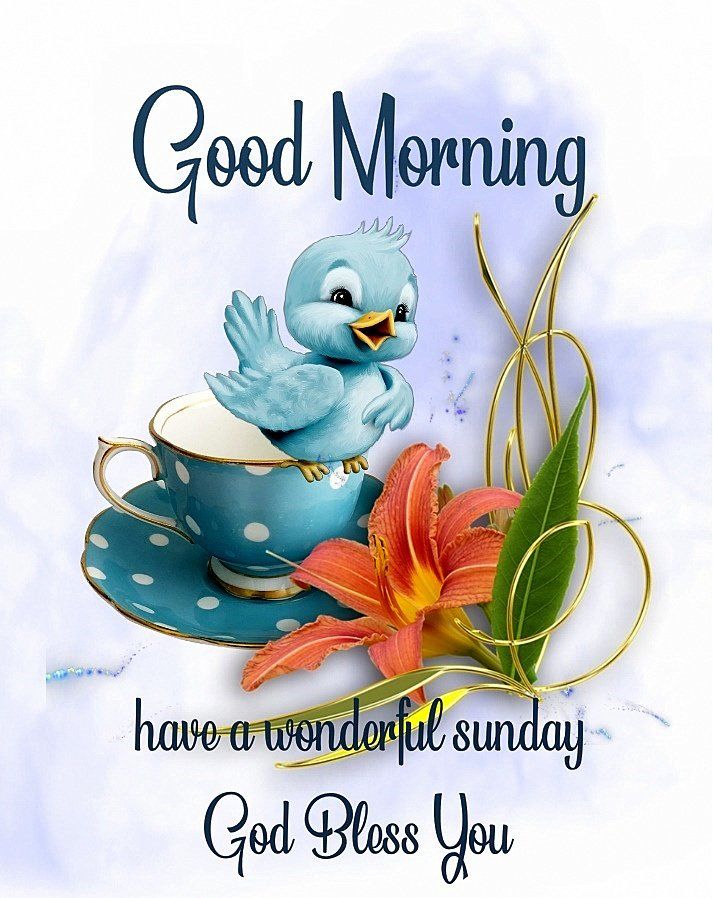 Have A Wonderful Sunday Pictures, Photos, and Images for Facebook ...