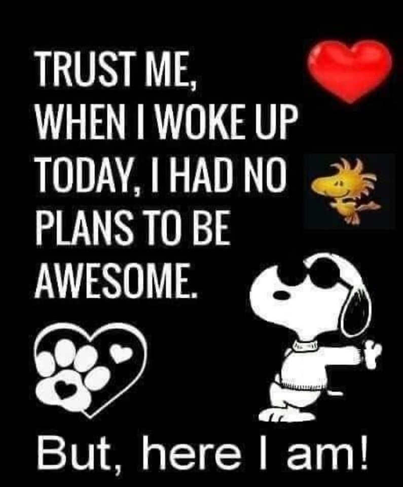 Trust Me, When I Woke Up Today, I Had Plans To Be Awesome. But, Here I ...