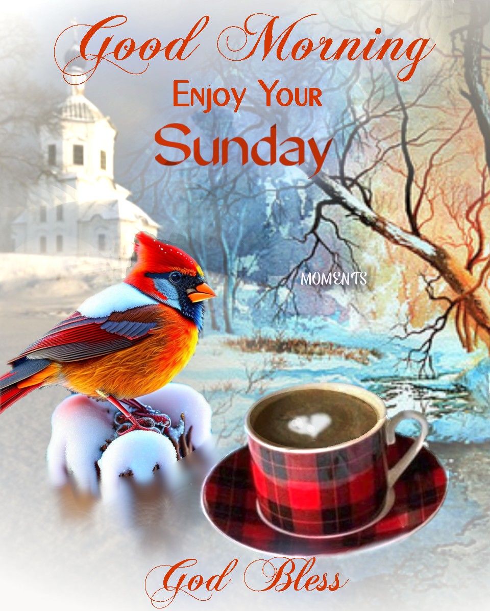 Enjoy Your Sunday, Good Morning Pictures, Photos, and Images for ...