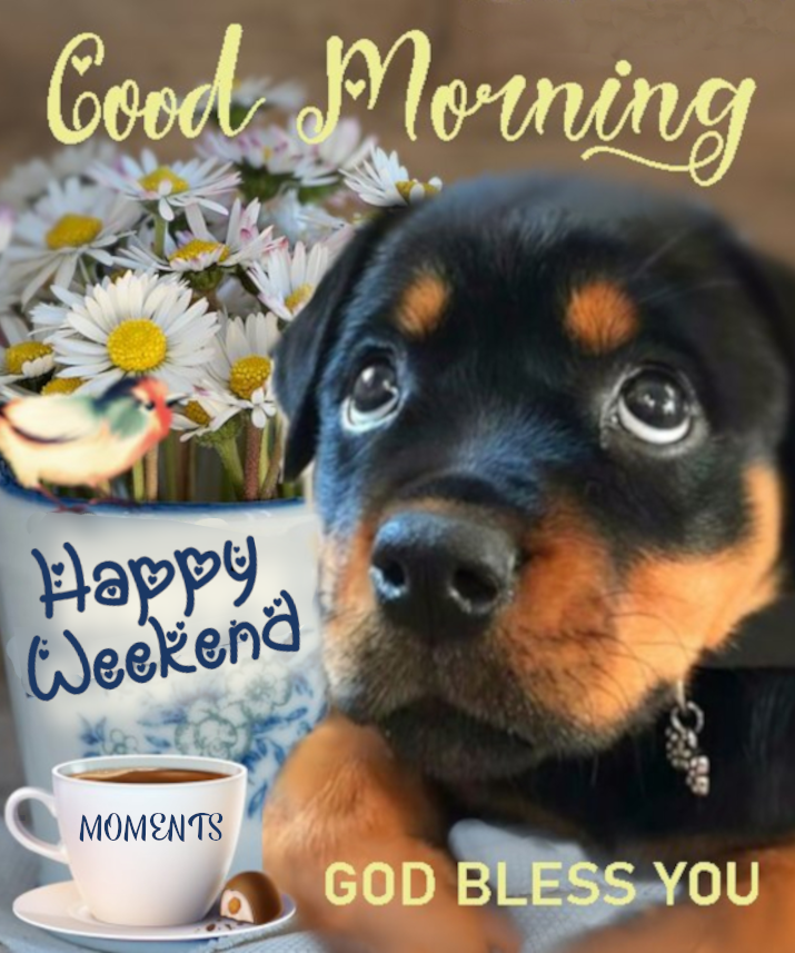 Cute Puppy - Good Morning, Happy Weekend Pictures, Photos, and Images ...