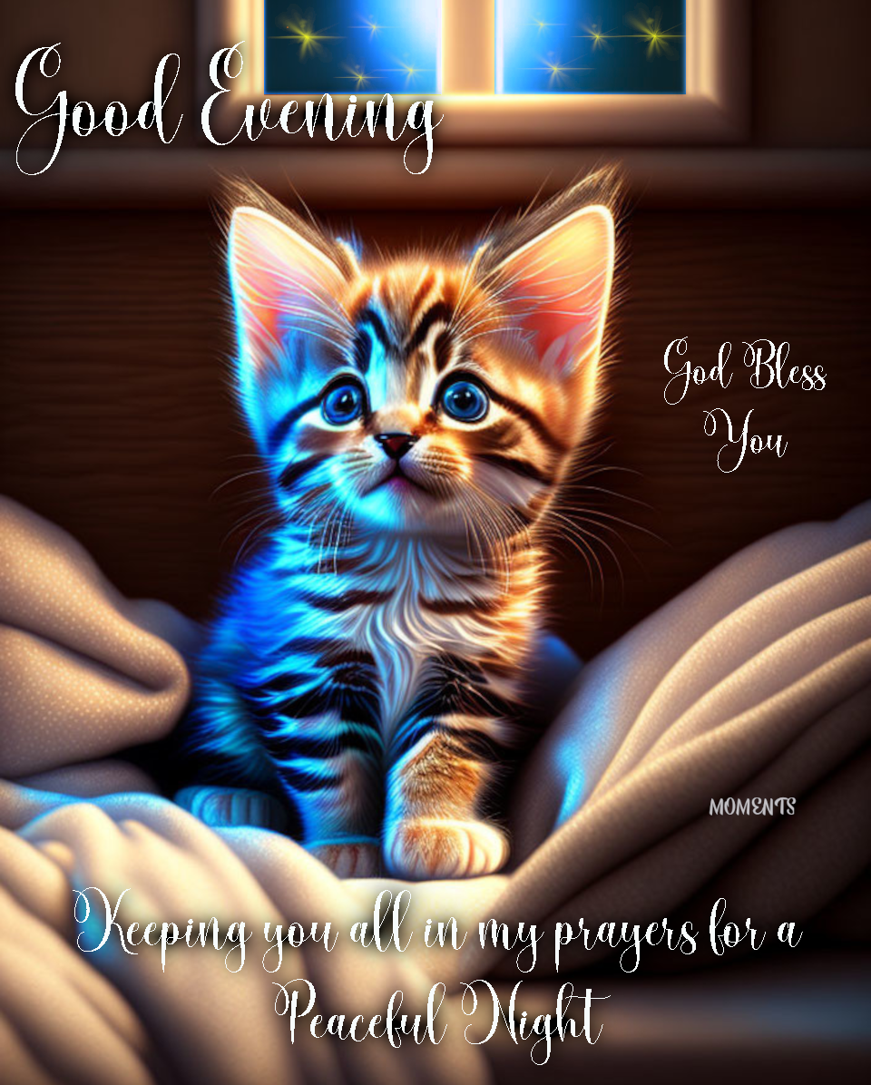 Keeping You All In My Prayers For A Peaceful Night. Good Evening ...