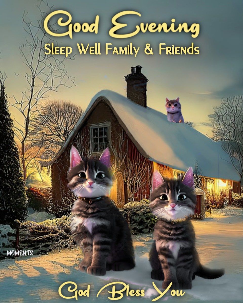 Sleep Well Family & Friends. Good Evening Pictures, Photos, and Images ...