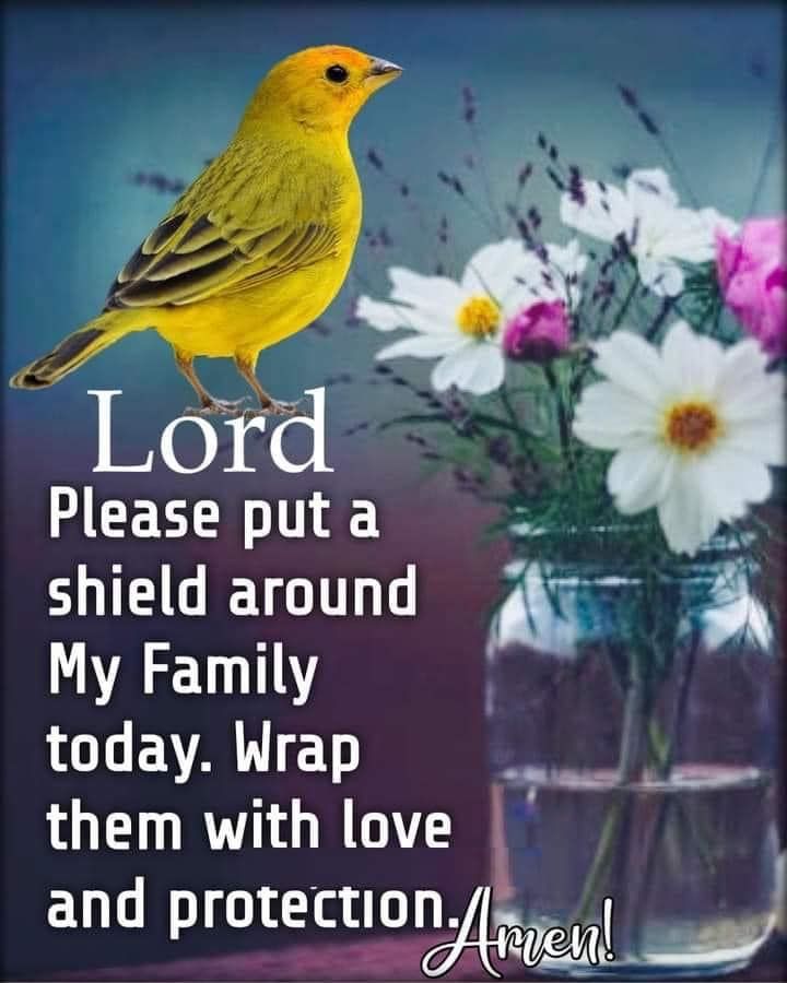 Lord Please Put A Shield Around My Family Today. Wrap Them With Love ...