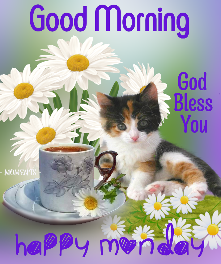 Good Morning, God Bless You. Happy Monday Pictures, Photos, and Images for Facebook, Tumblr ...