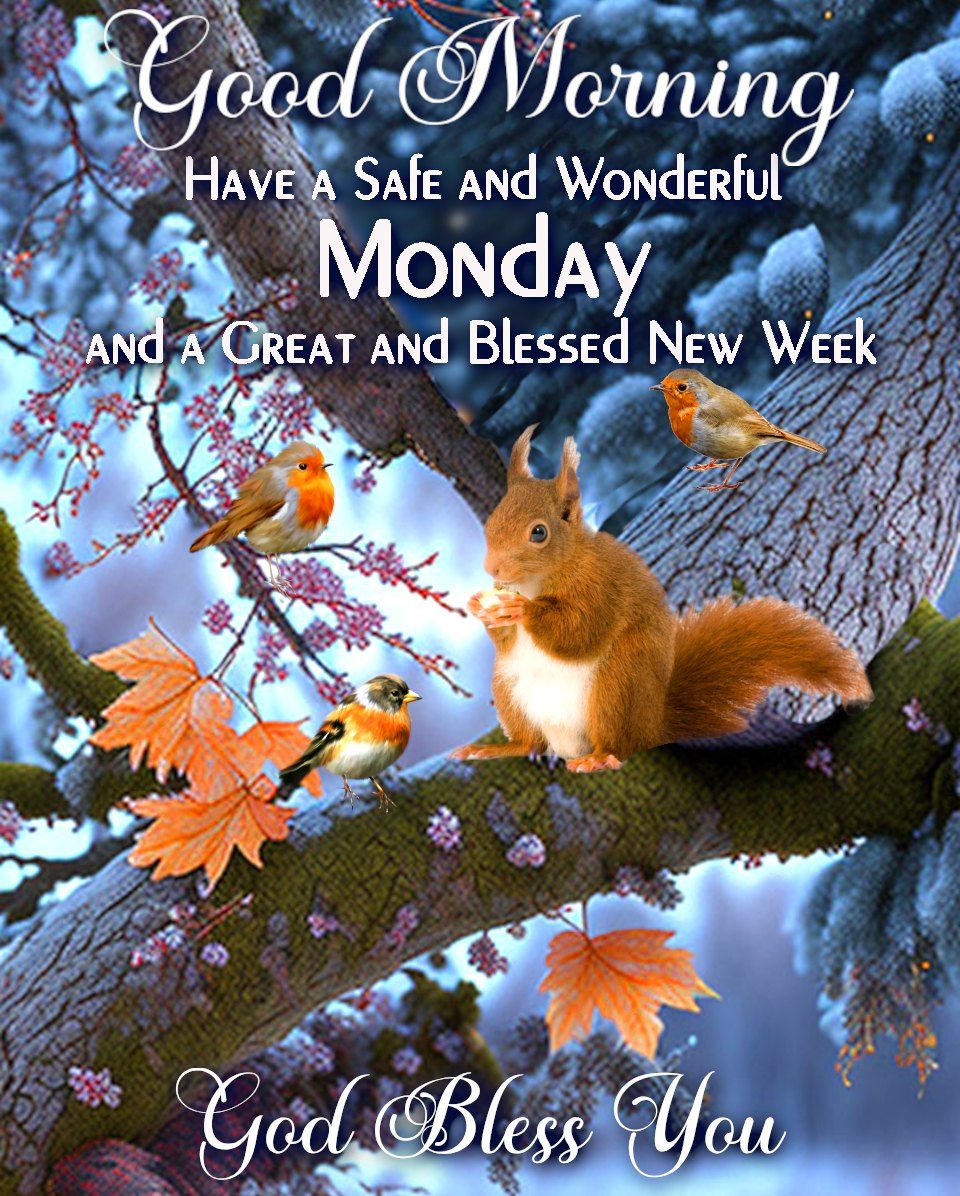 Good Morning! Have A Safe And Wonderful Monday. Pictures, Photos, and ...