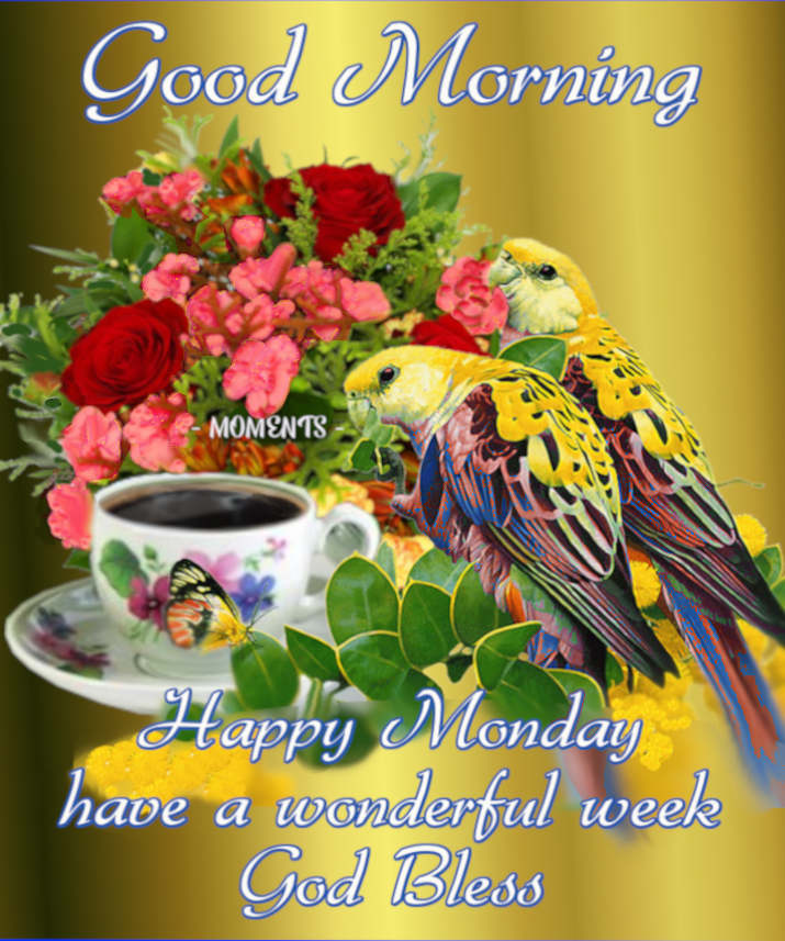 Twin Bird - Good Morning Happy Monday Greeting Pictures, Photos, and ...