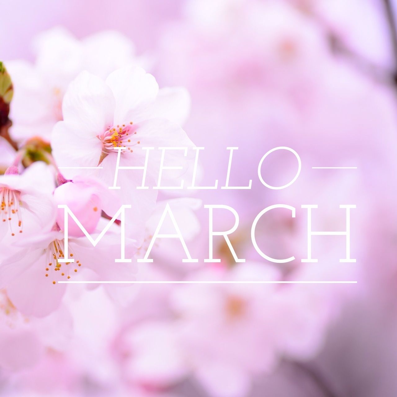 Hello March Pictures, Photos, and Images for Facebook, Tumblr ...