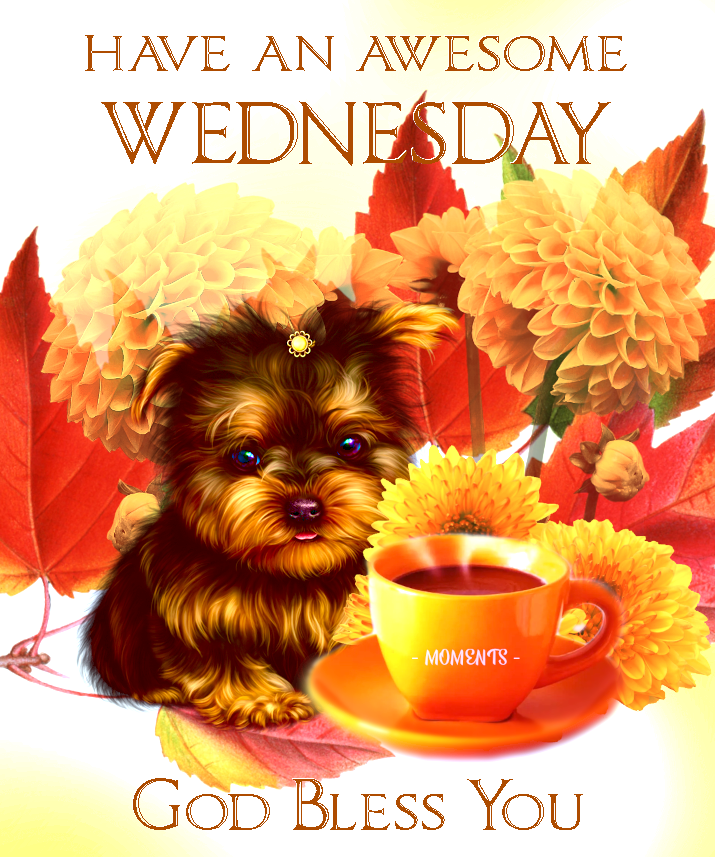 Awesome Wednesday Greeting Pictures, Photos, and Images for Facebook ...