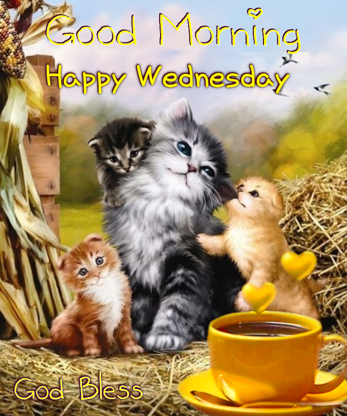 Good Morning, Happy Wednesday Pictures, Photos, and Images for Facebook ...