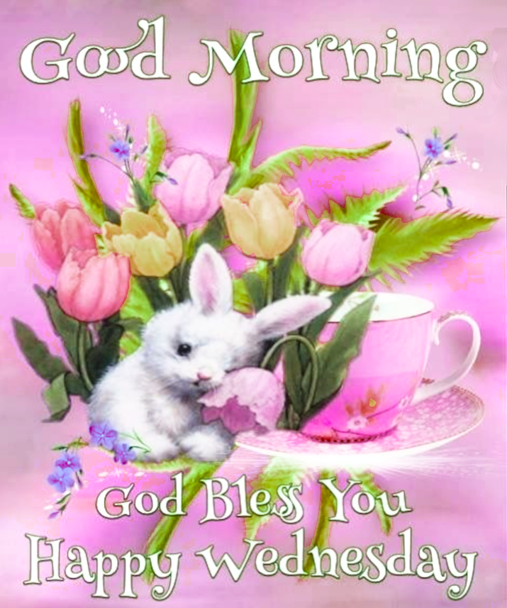 Spring Bunny - Good Morning, God Bless You. Happy Wednesday Pictures ...