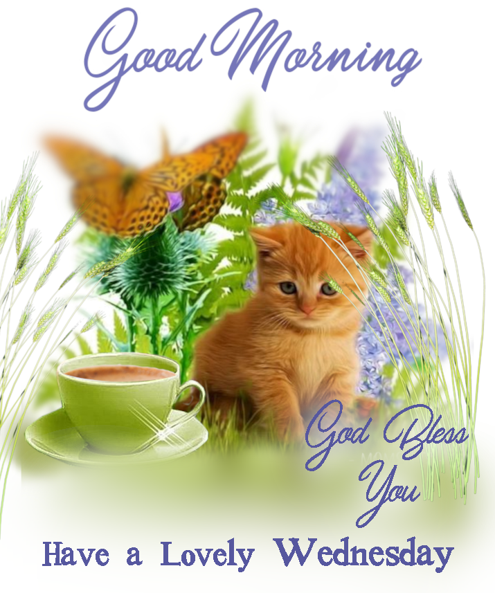 Lovely Wednesday, Good Morning Pictures, Photos, and Images for ...