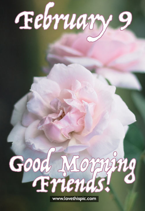 Good Morning February 9 Pictures, Photos, and Images for Facebook ...