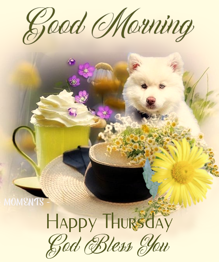 Good Morning. Happy Thursday And God Bless You Pictures, Photos, and ...